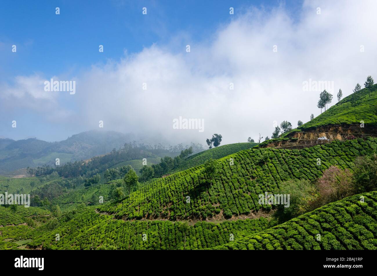 Munnar hill view hi-res stock photography and images - Alamy