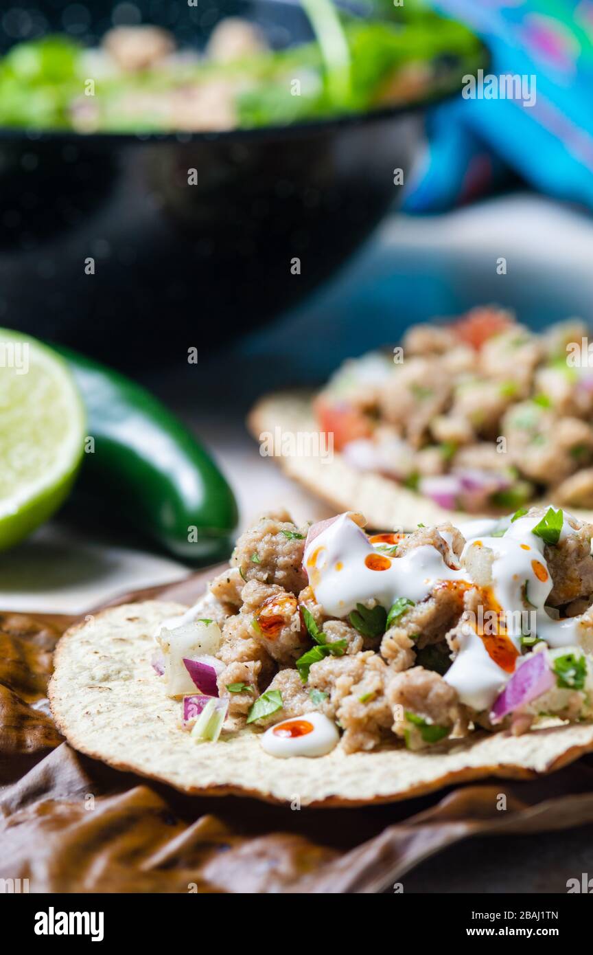 Vegetarian vegan ceviche on toasted tortillas. Mexican ceviche made of ...