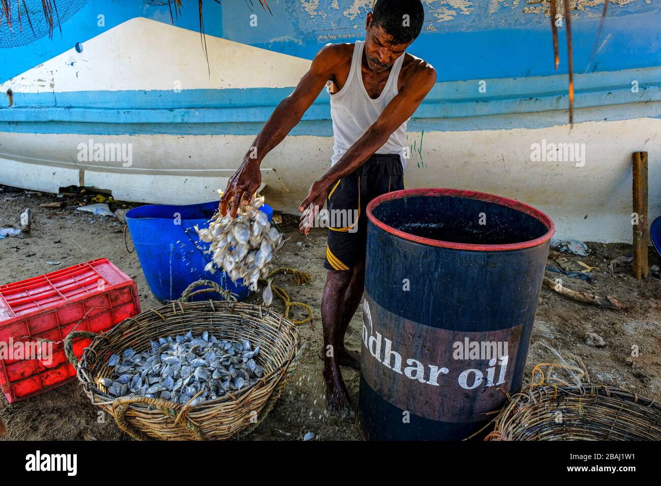 Talaimannar, Sri Lanka - February 2020: Fisherman drying fish on the ...