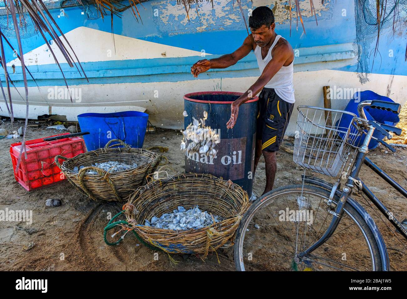 Talaimannar, Sri Lanka - February 2020: Fisherman drying fish on the ...