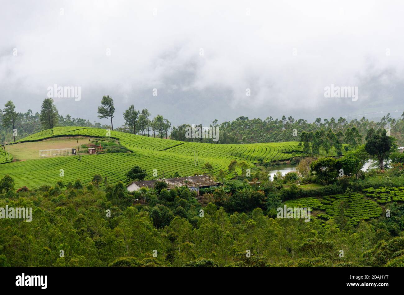 Beautiful view of the green mountainous landscape at Kolukkumalai ...
