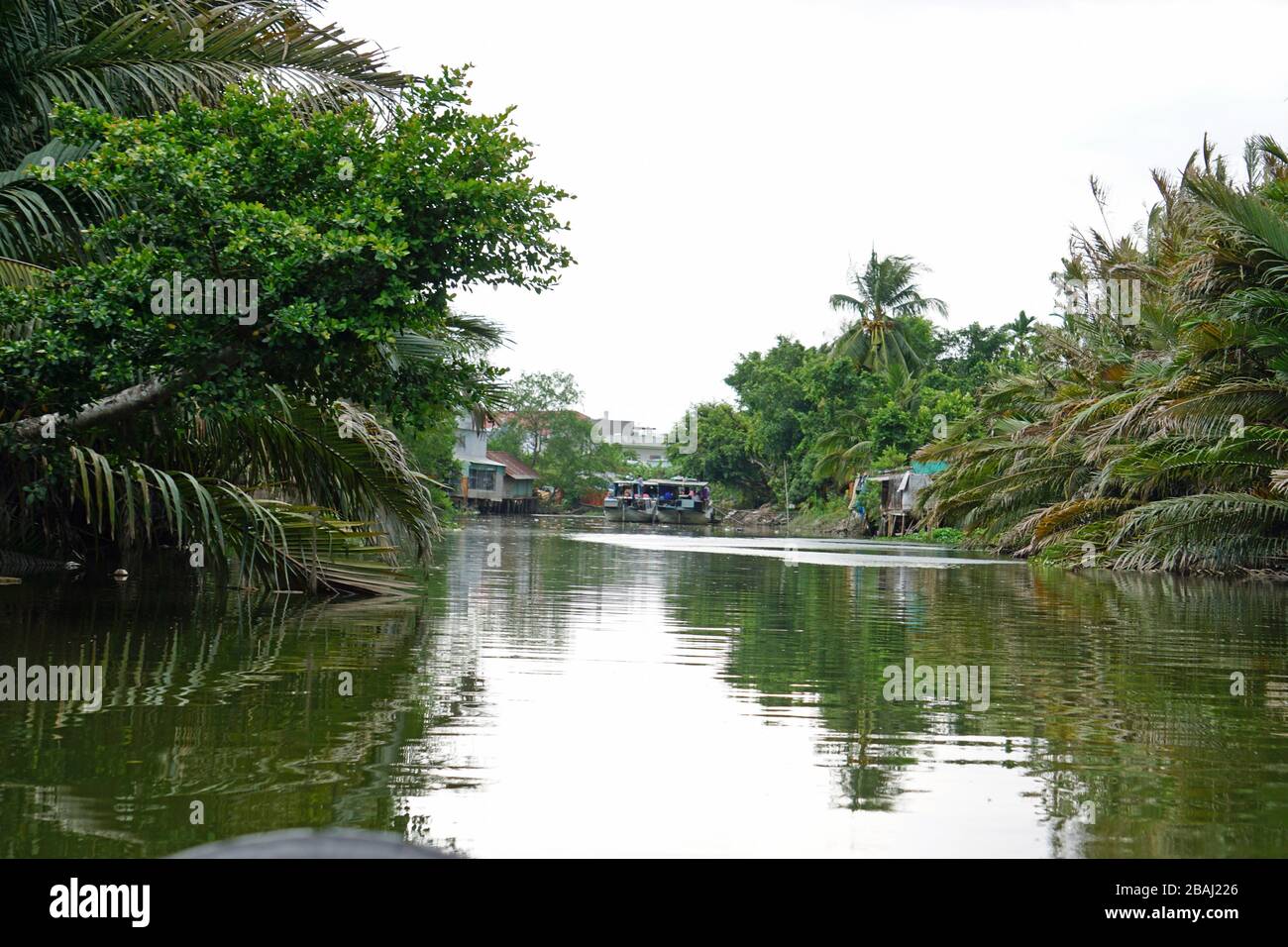 agricultural rural landscape near can tho in vietnam in the mekong ...