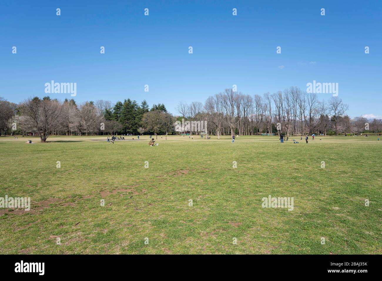 Koganei hi-res stock photography and images - Alamy