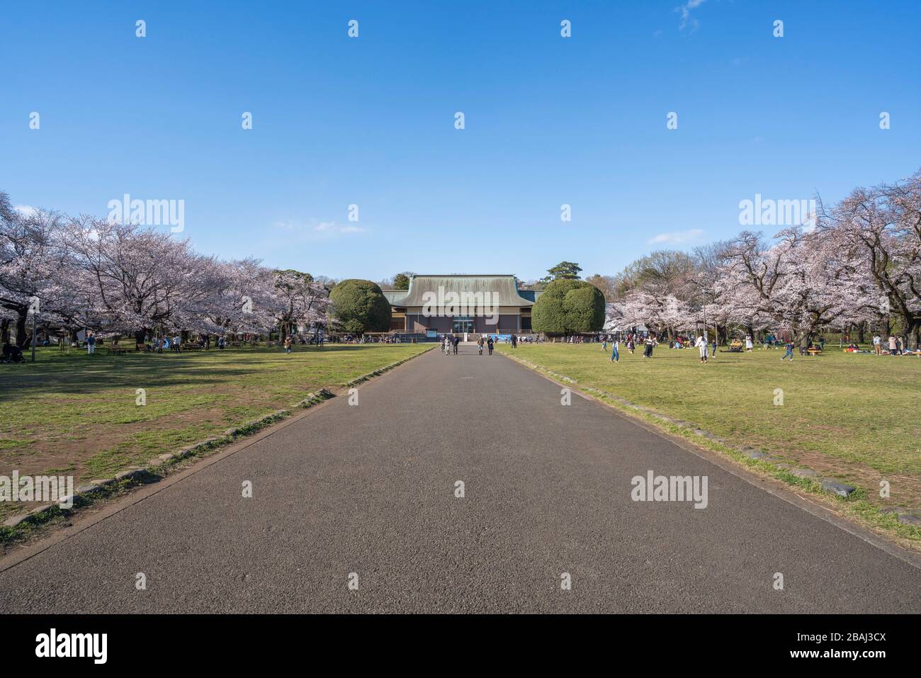 Koganei city hi-res stock photography and images - Alamy