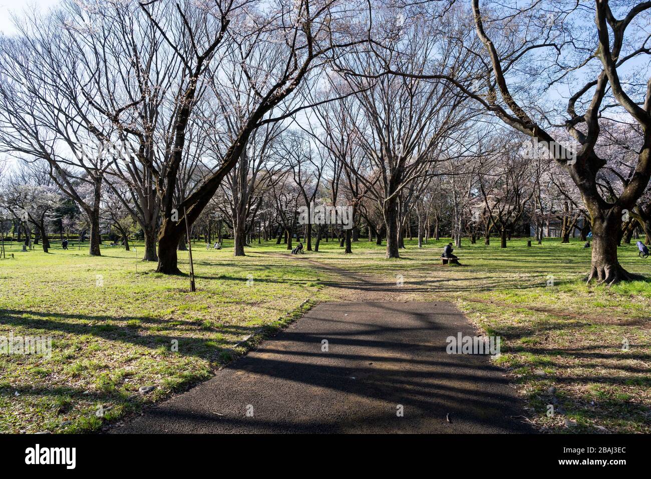 Koganei hi-res stock photography and images - Alamy