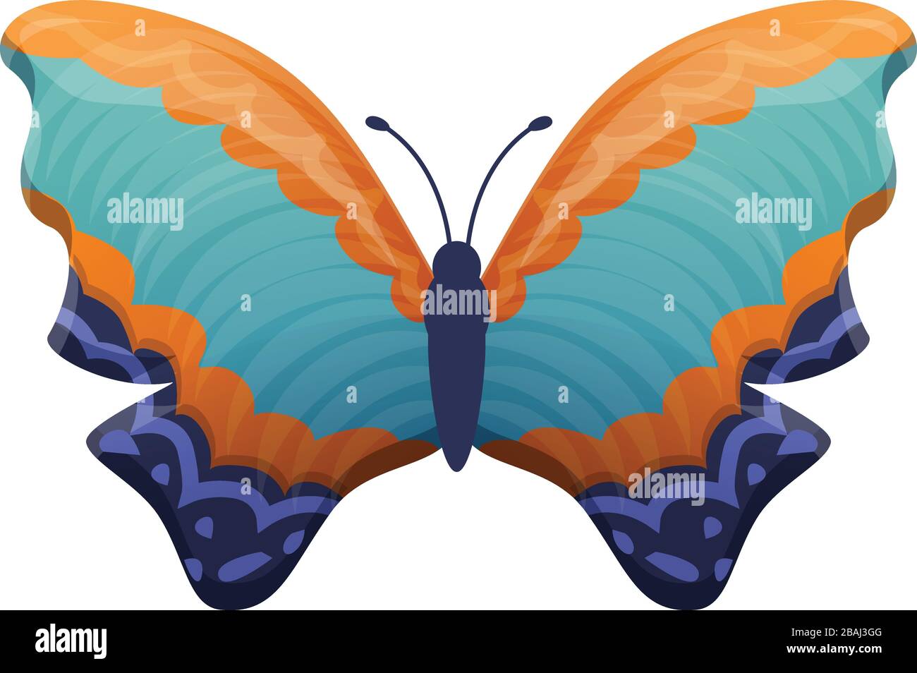Moth butterfly icon. Cartoon of moth butterfly vector icon for web ...
