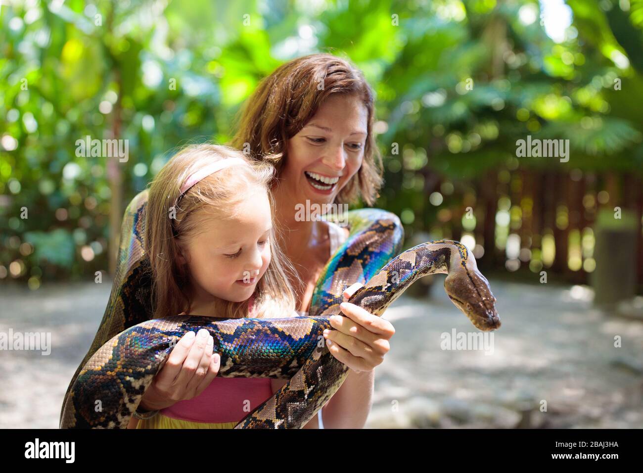 Snakes of borneo hi-res stock photography and images - Alamy