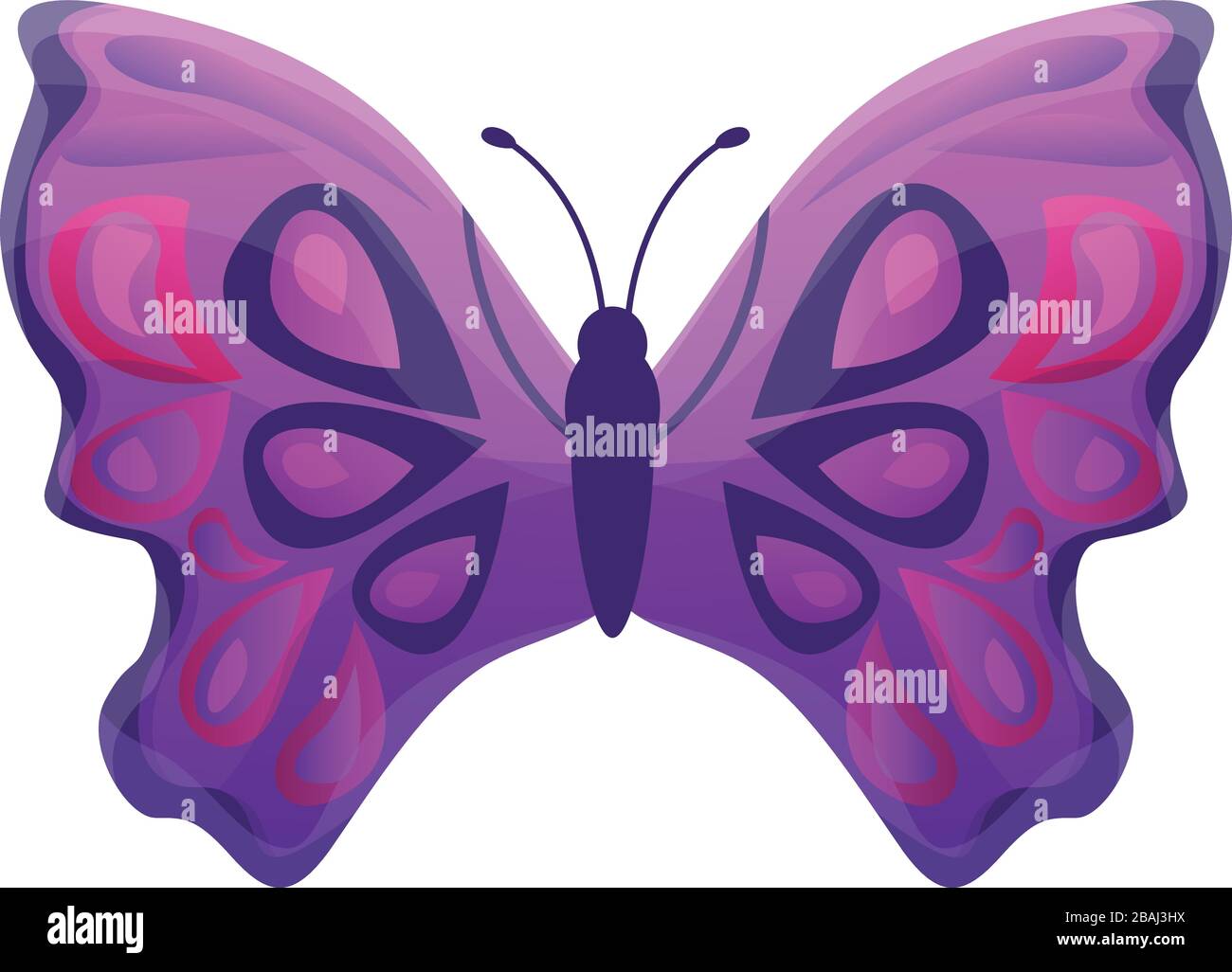 Purple Butterfly Cartoon