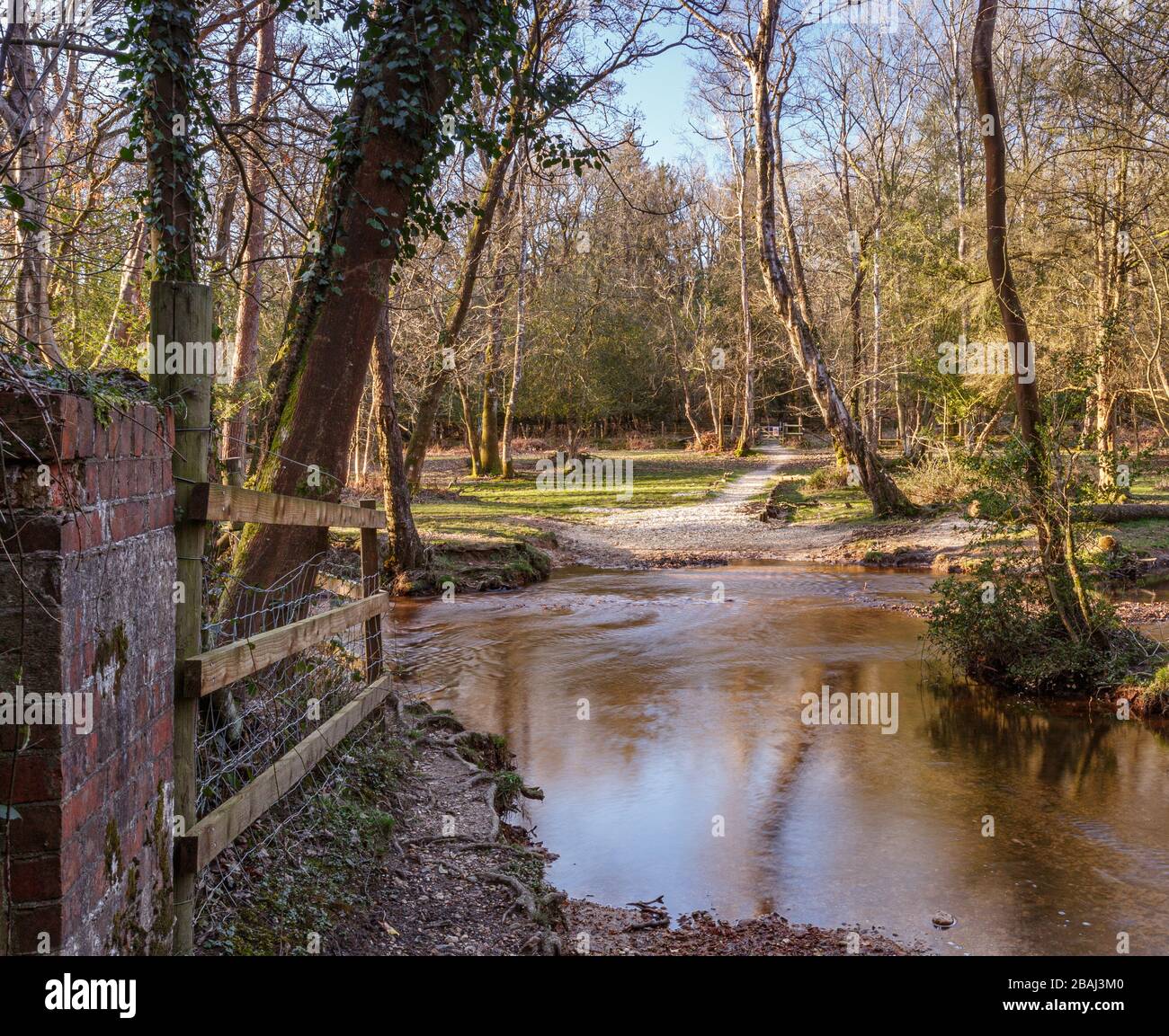 A path through the New Forest, Hampshire, UK in spring time with a ...