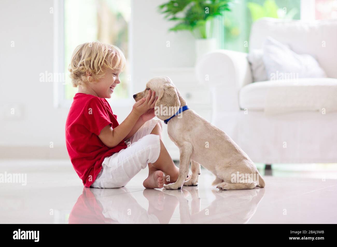 Child playing with baby dog. Kids play with puppy. Little boy and ...
