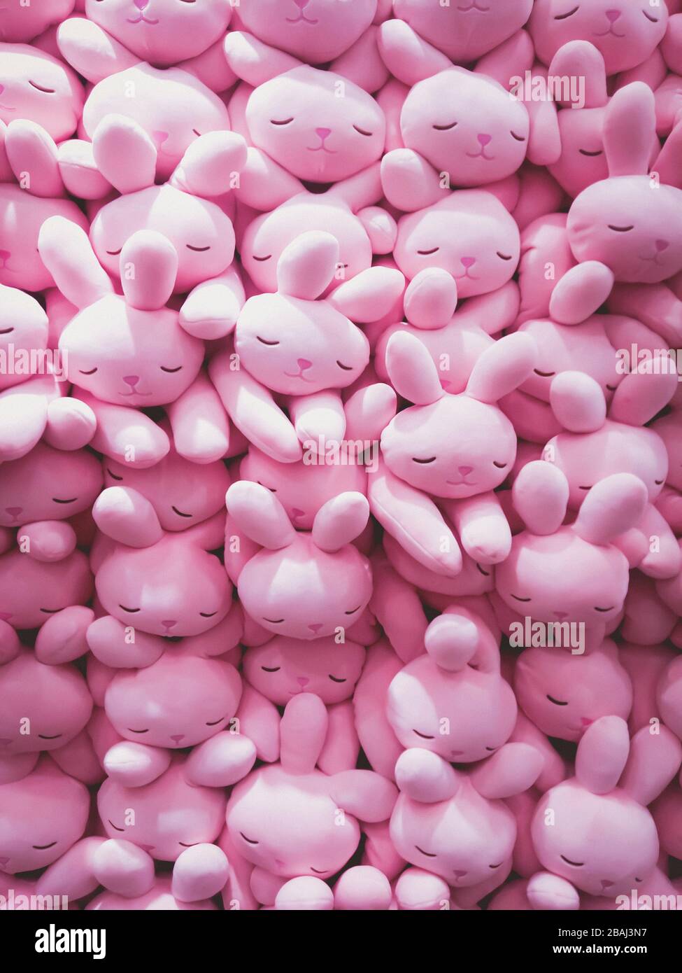 Pink Rabbits Toy Dolls Shop Shelf Display .Pink background. Rabbit doll ...