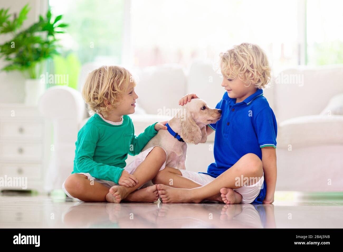 Child playing with baby dog. Kids with puppy. Little boy and American ...