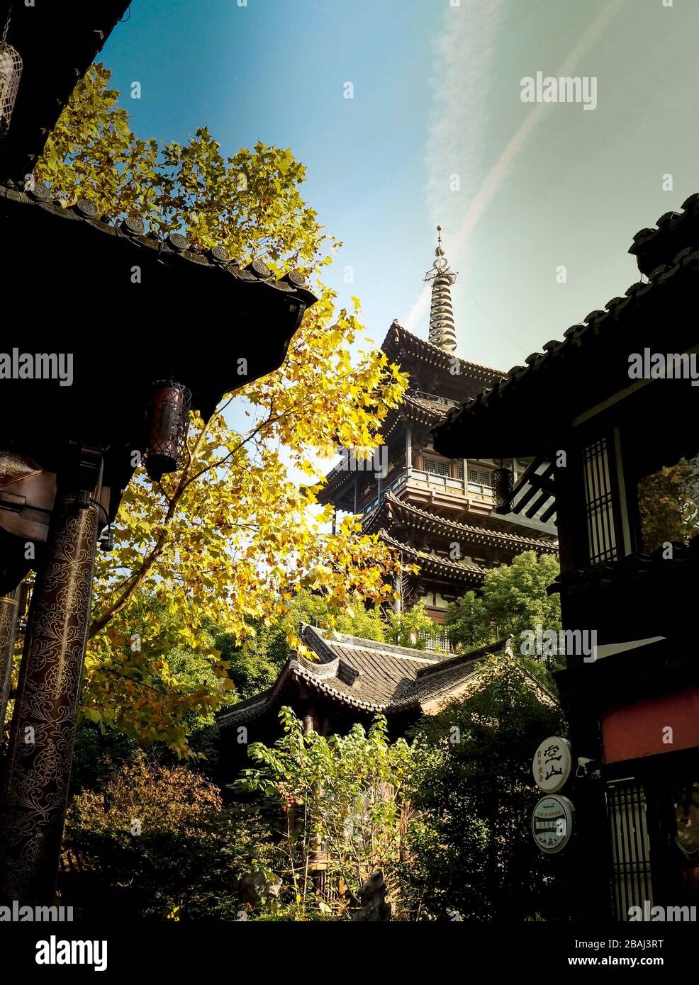 Traditional temple Shrine architecture in Osaka with autumn leaves in ...