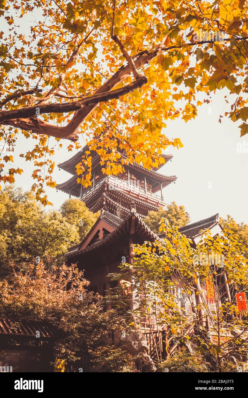 Traditional temple Shrine architecture in Osaka with autumn leaves in ...
