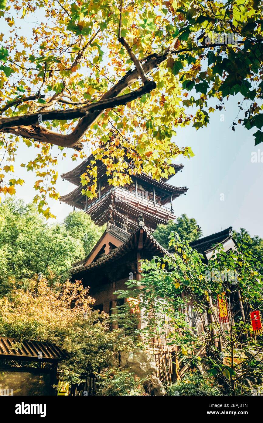 Traditional temple Shrine architecture in Osaka with autumn leaves in ...