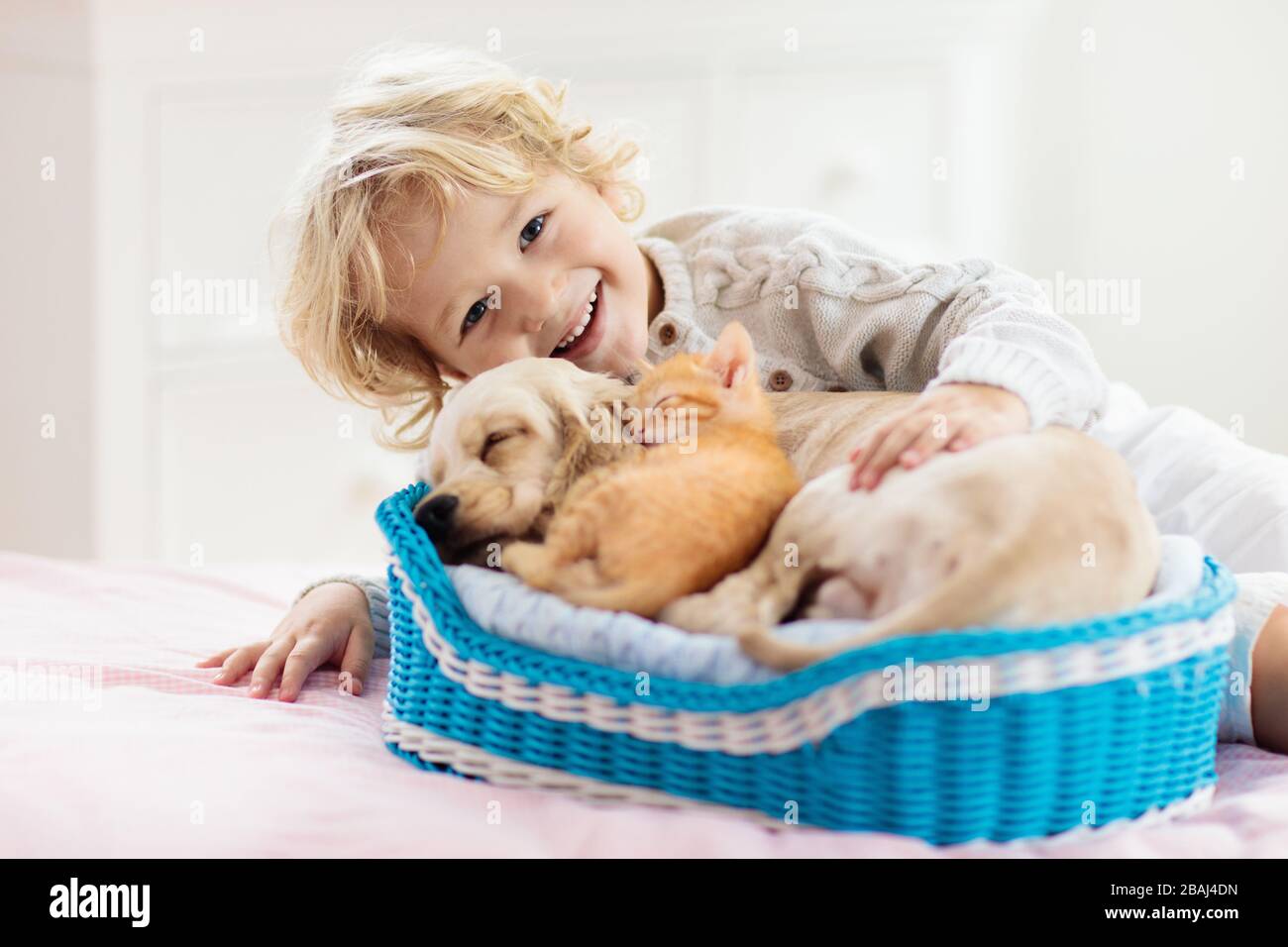 Child playing with baby dog and cat. Kids play with puppy and kitten ...