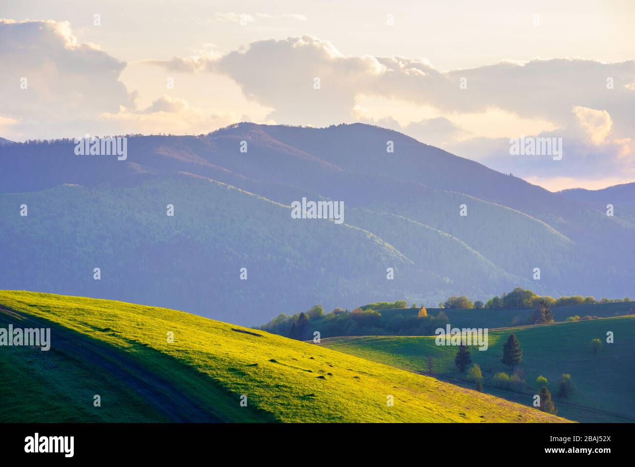 mountainous countryside in springtime at dusk. path through rolling ...