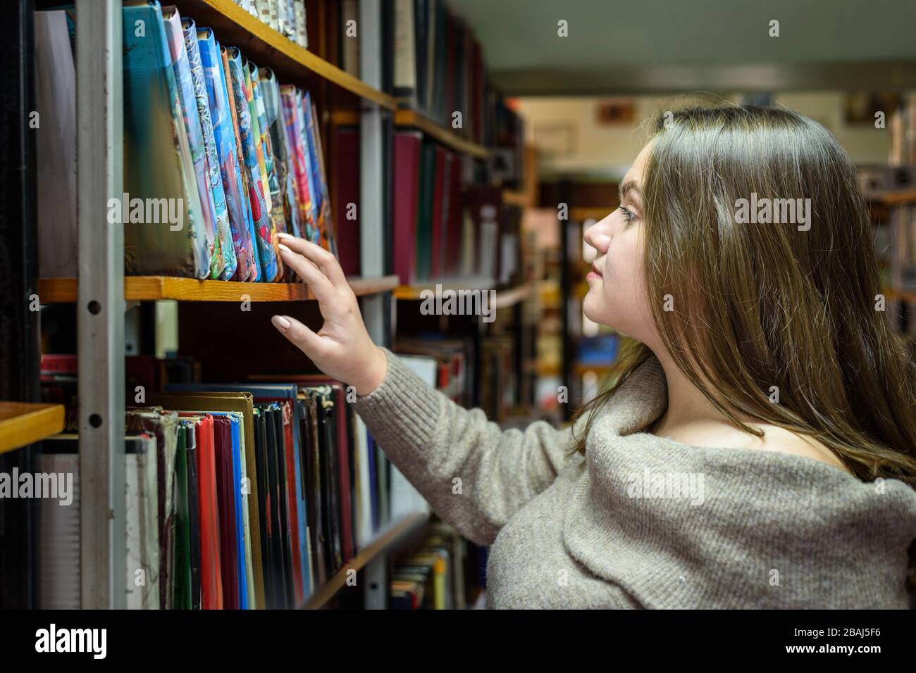 Brunette young girl looking for book on bookshelf in library Stock ...