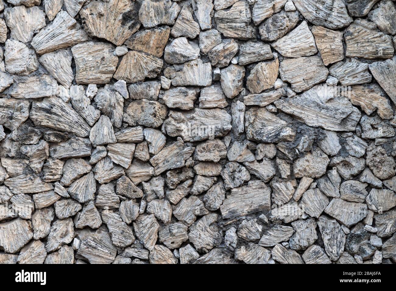 Textured stone wall, built with pieces of native marine sponge. Near ...