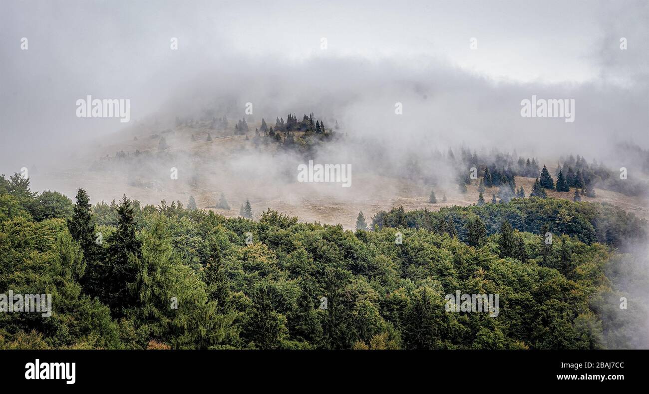 Beautiful morning mountains in fog Stock Photo - Alamy