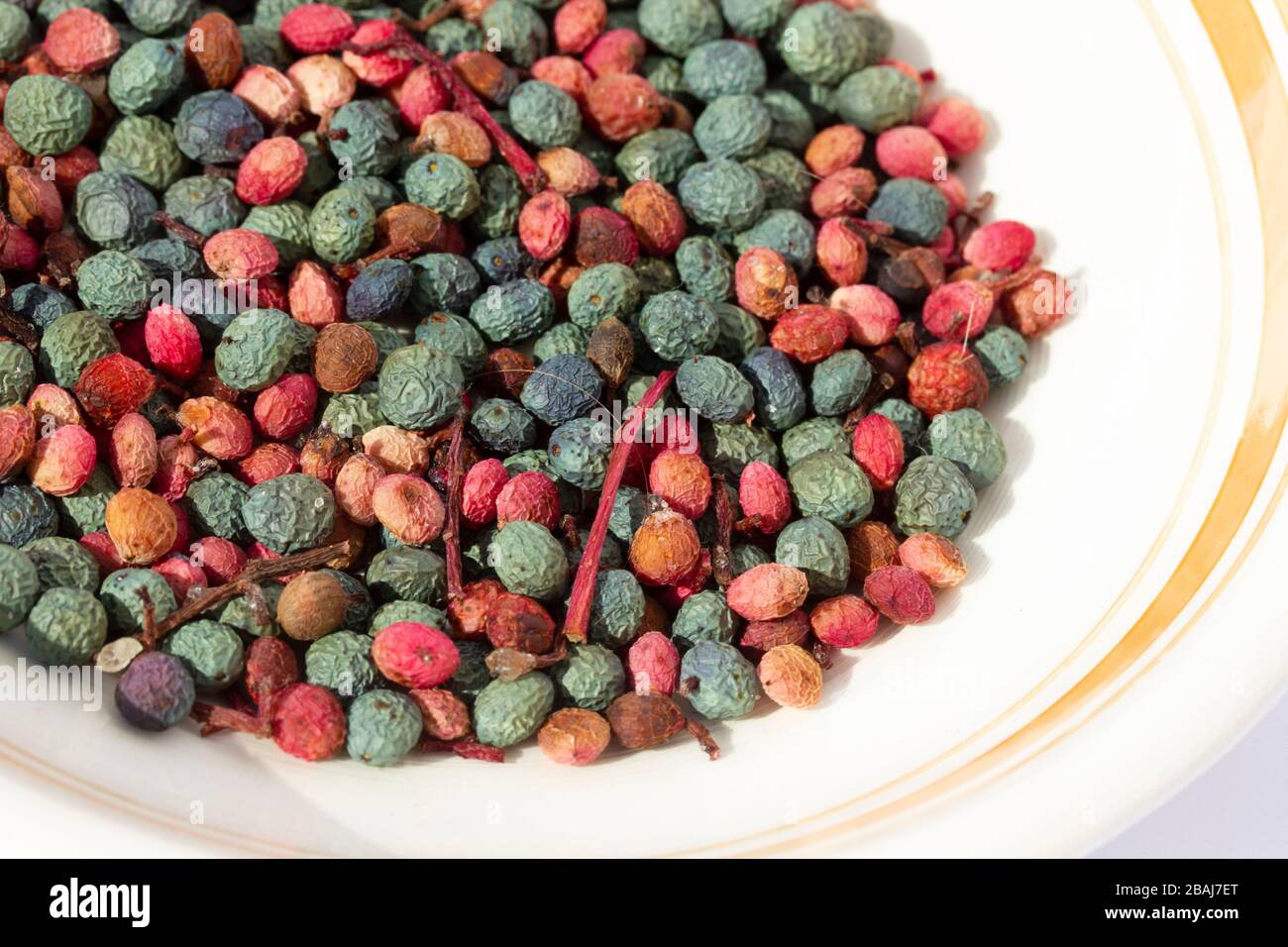 Pistacia terebinthus, Fruits of Terebinth Stock Photo - Alamy
