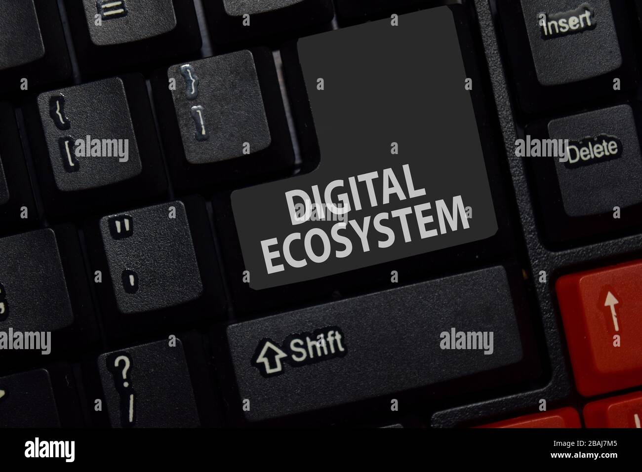 Digital Ecosystem isolated on laptop keyboard background Stock Photo ...