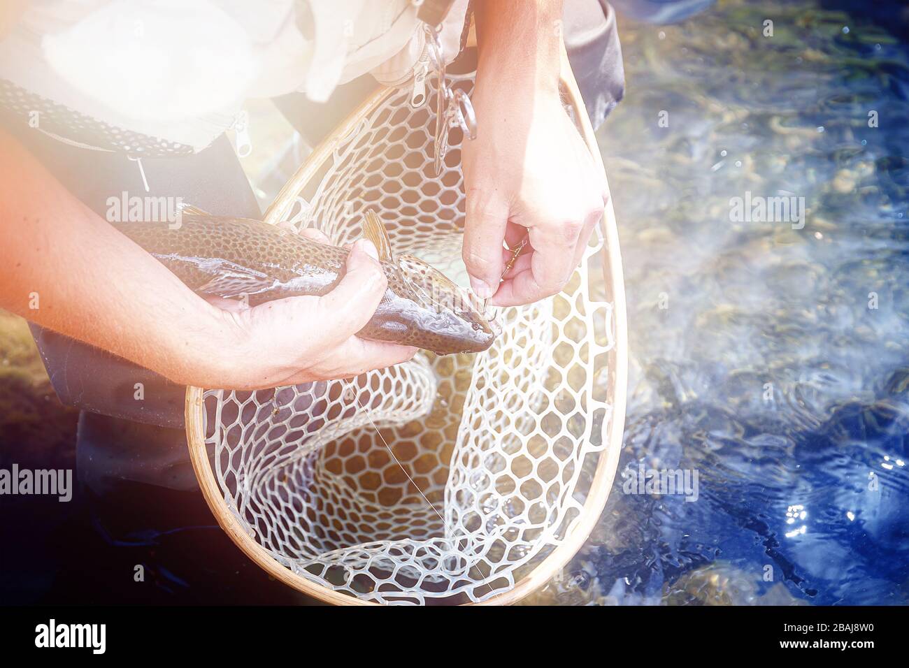 Male brook trout in landing hi-res stock photography and images - Alamy