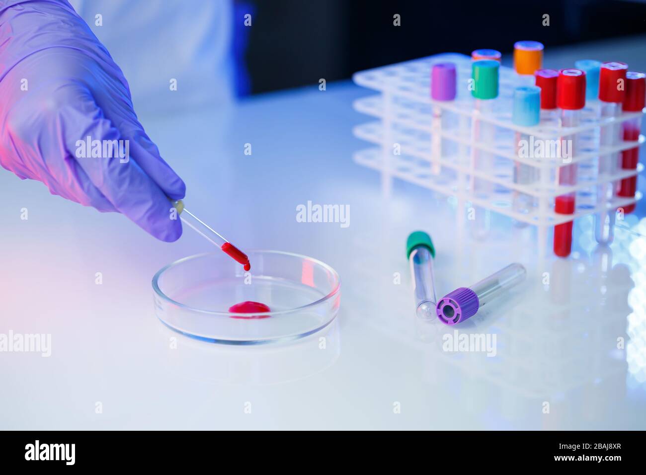 A medical professional, laboratory assistant, doctor performs an ...