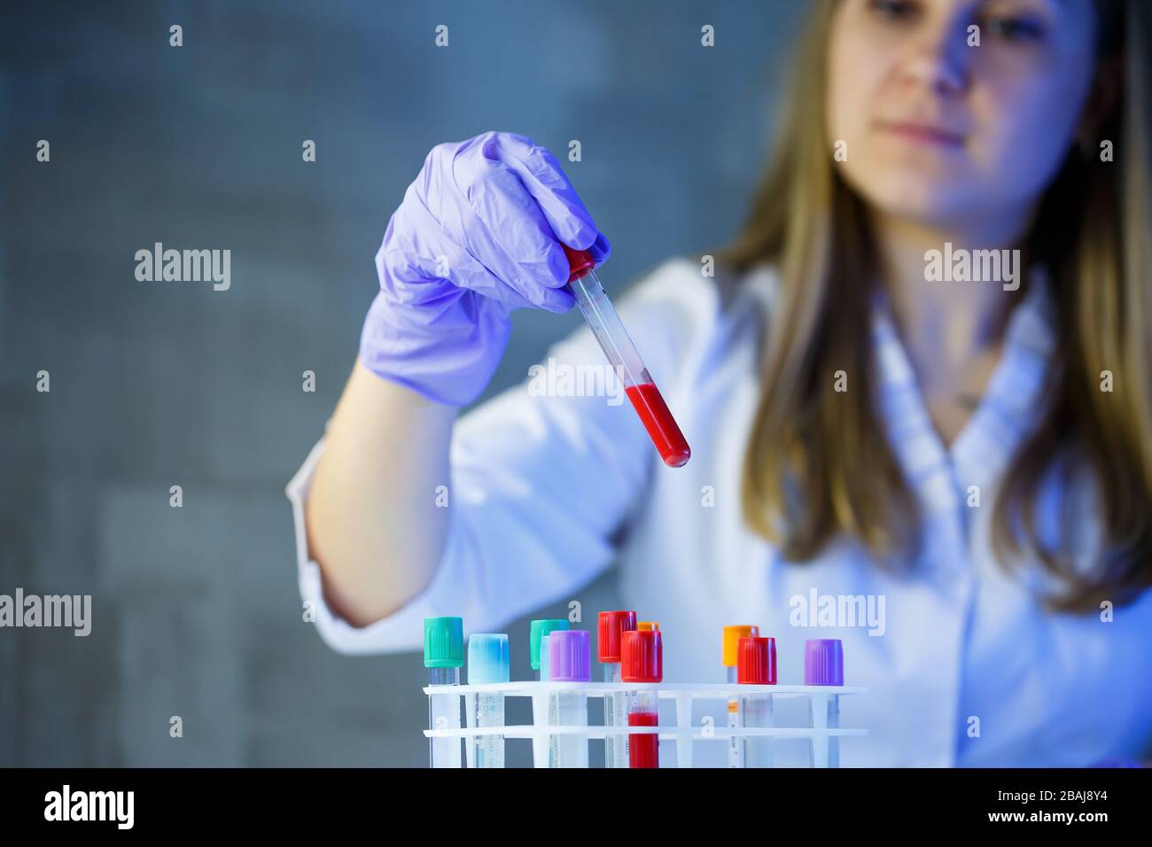 Scientist working violet sample in hi-res stock photography and images ...