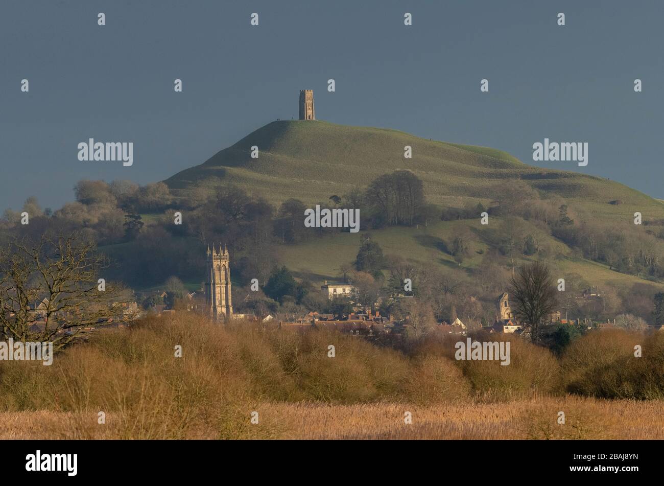 Glastonbury Tor in winter, seen from Ham Walls on the Somerset Levels ...