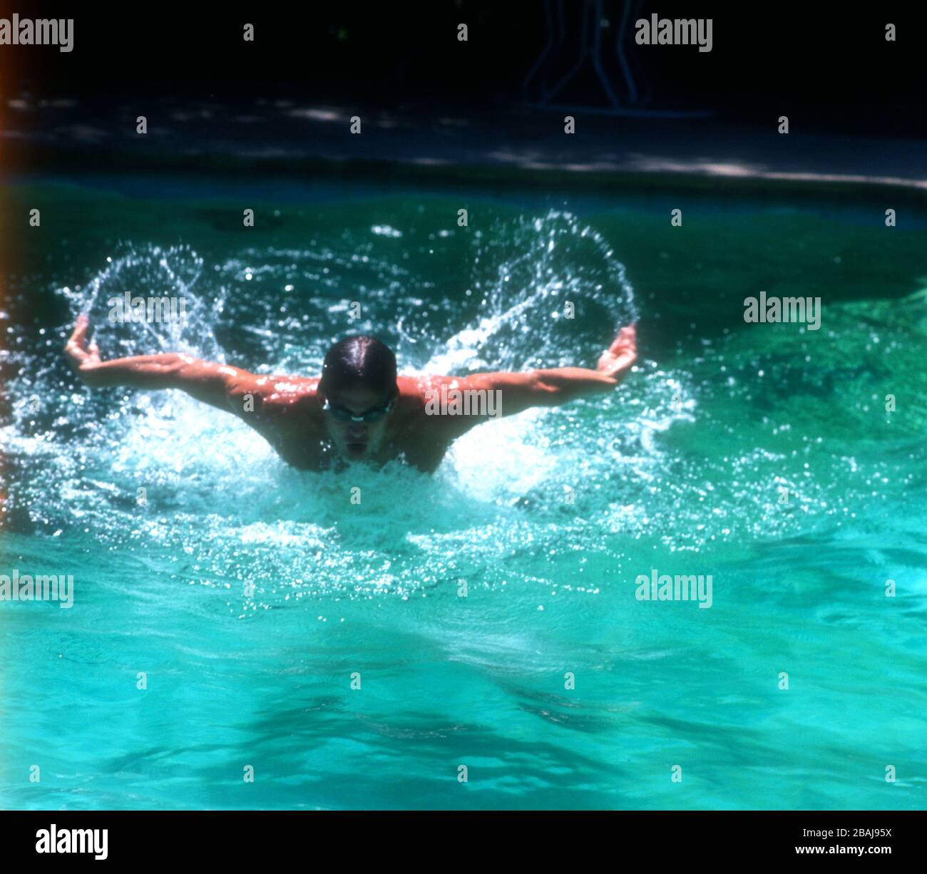 Los Angeles, California, USA 19th August1995 (Exclusive) Olympian ...