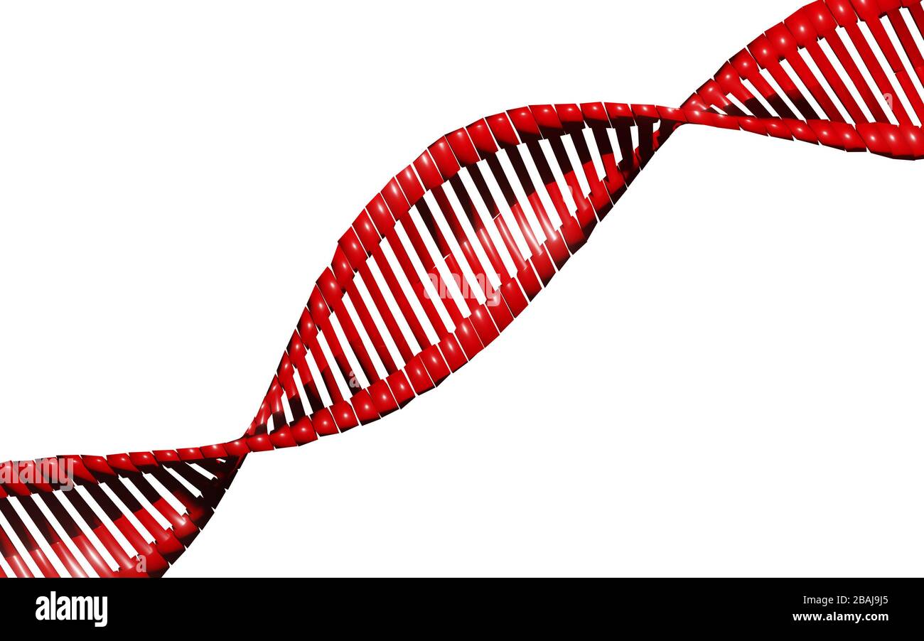 Digital 3d model of DNA structure,3d Rendering Stock Photo - Alamy