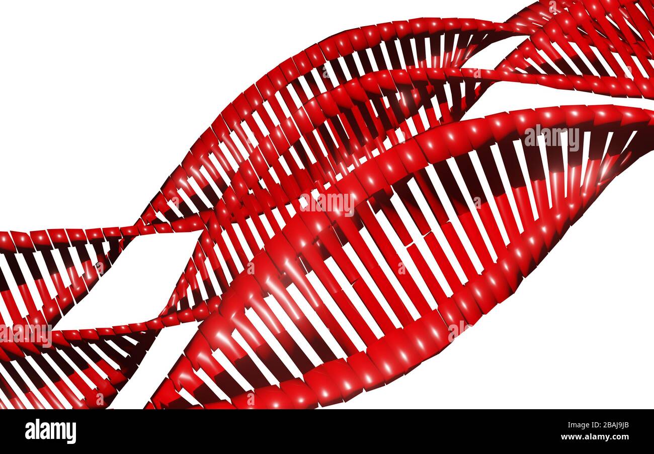 Digital 3d model of DNA structure,3d Rendering Stock Photo - Alamy