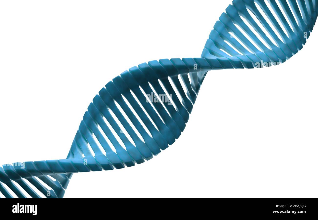 Digital 3d model of DNA structure,3d Rendering for background Stock ...