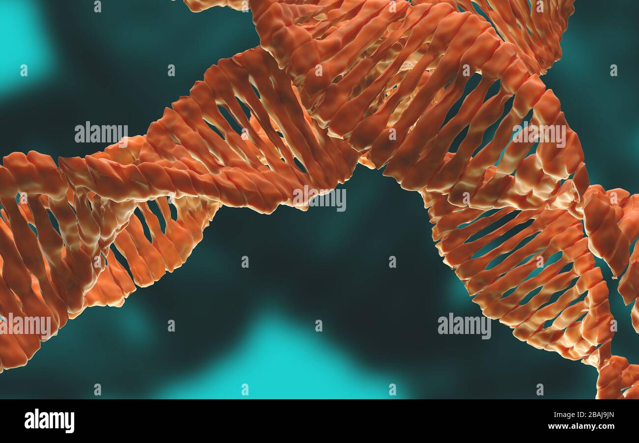 Digital 3d model of DNA structure,3d Rendering for background Stock ...