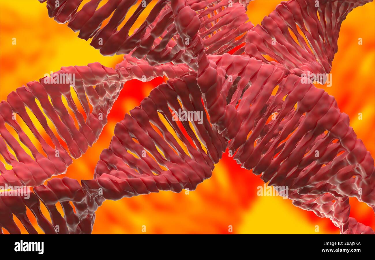 Digital 3d model of DNA structure,3d Rendering for background Stock ...