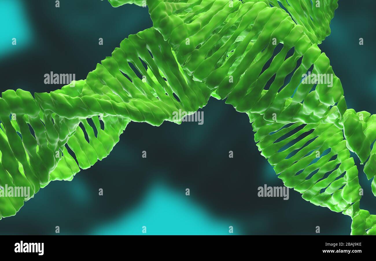 Digital 3d model of DNA structure,3d Rendering for background Stock ...