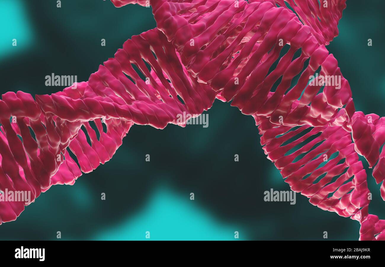Digital 3d model of DNA structure,3d Rendering for background Stock ...