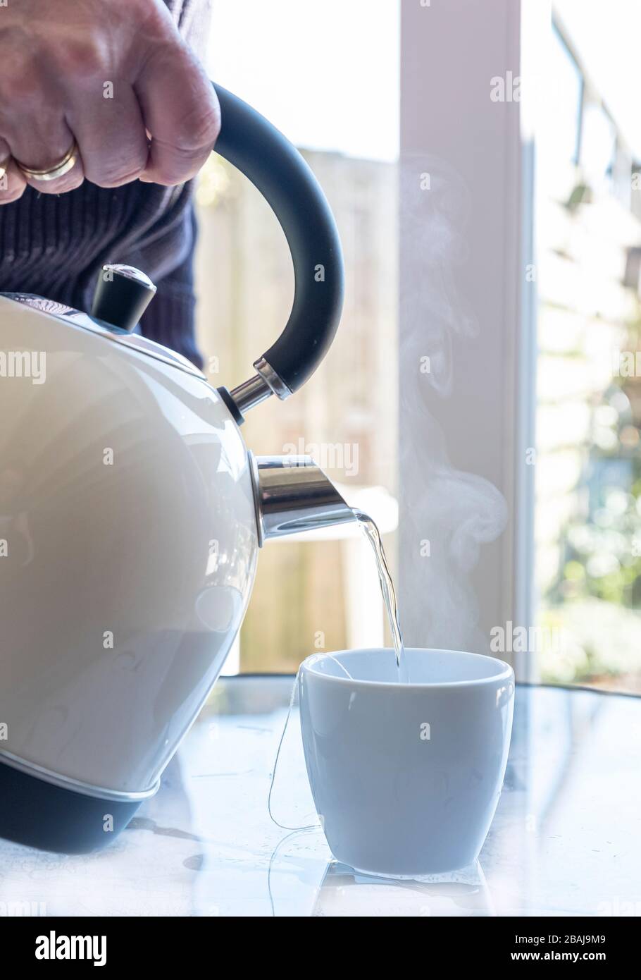 Electric kettle with boiling water for the herbal tea, male hand that ...