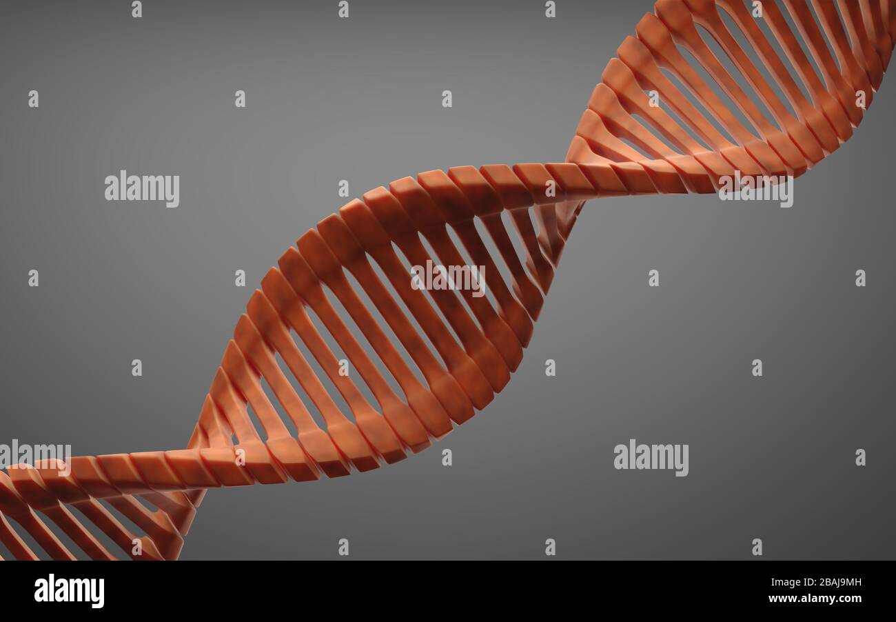 Digital 3d model of DNA structure,3d Rendering for background Stock ...