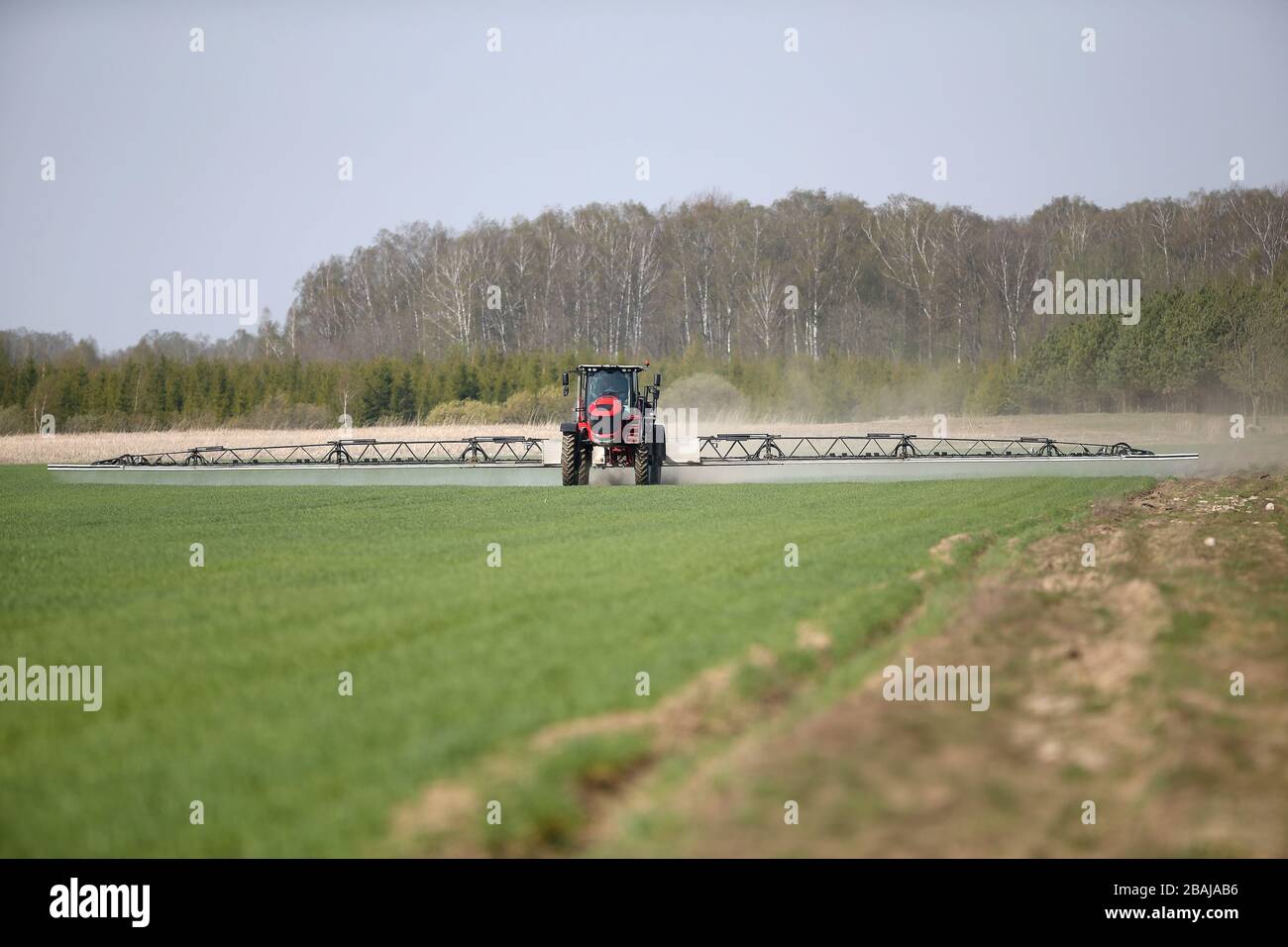 Tractor spraying wheat field with sprayer Stock Photo - Alamy
