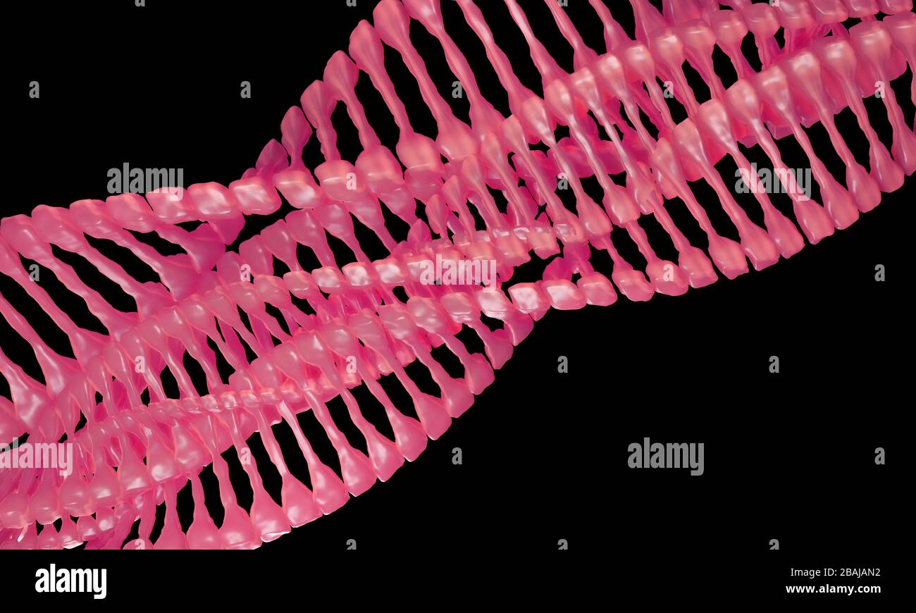 Digital 3d model of DNA structure,3d Rendering for background Stock ...
