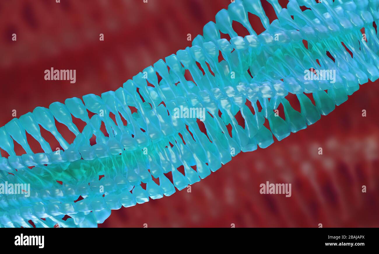 Digital 3d model of DNA structure,3d Rendering for background Stock ...
