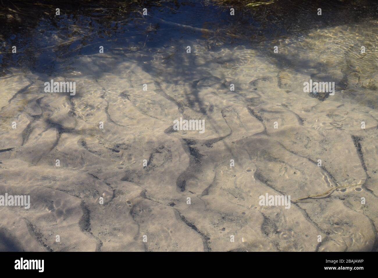 Sandy stream bed hi-res stock photography and images - Alamy