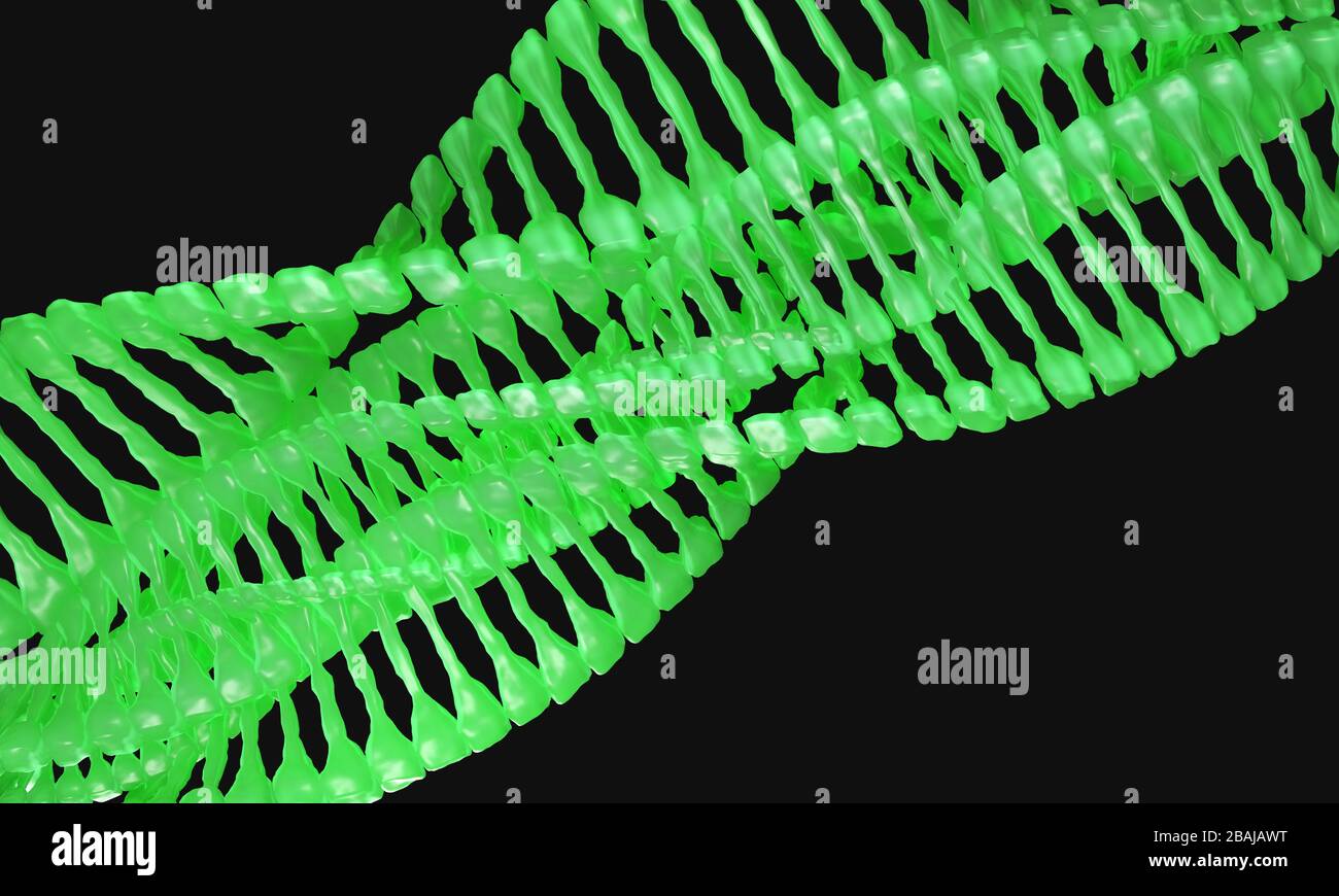 Digital 3d model of DNA structure,3d Rendering for background Stock ...