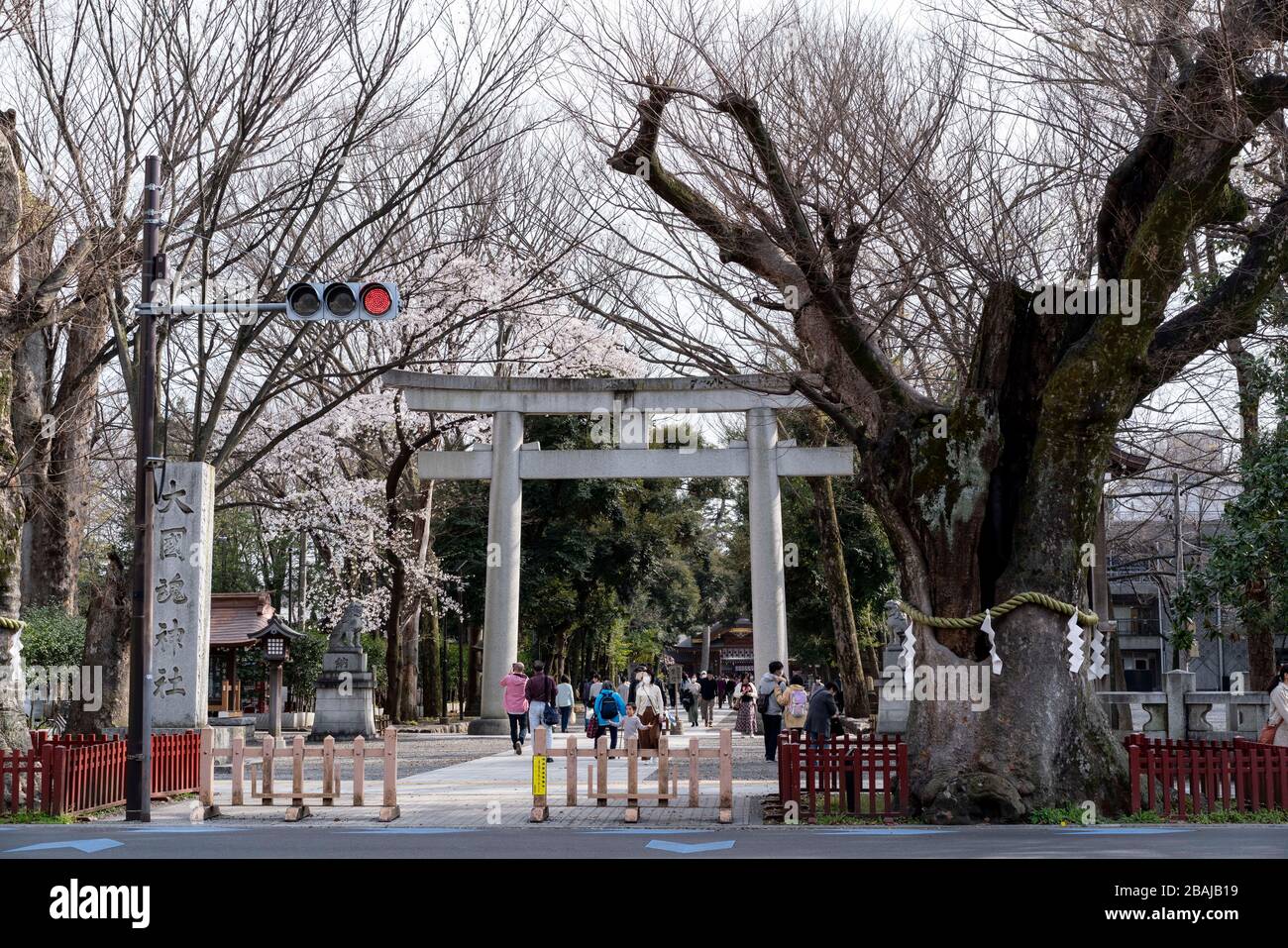 Okunitama Shrine, Fuchu City, Tokyo, Japan Stock Photo - Alamy