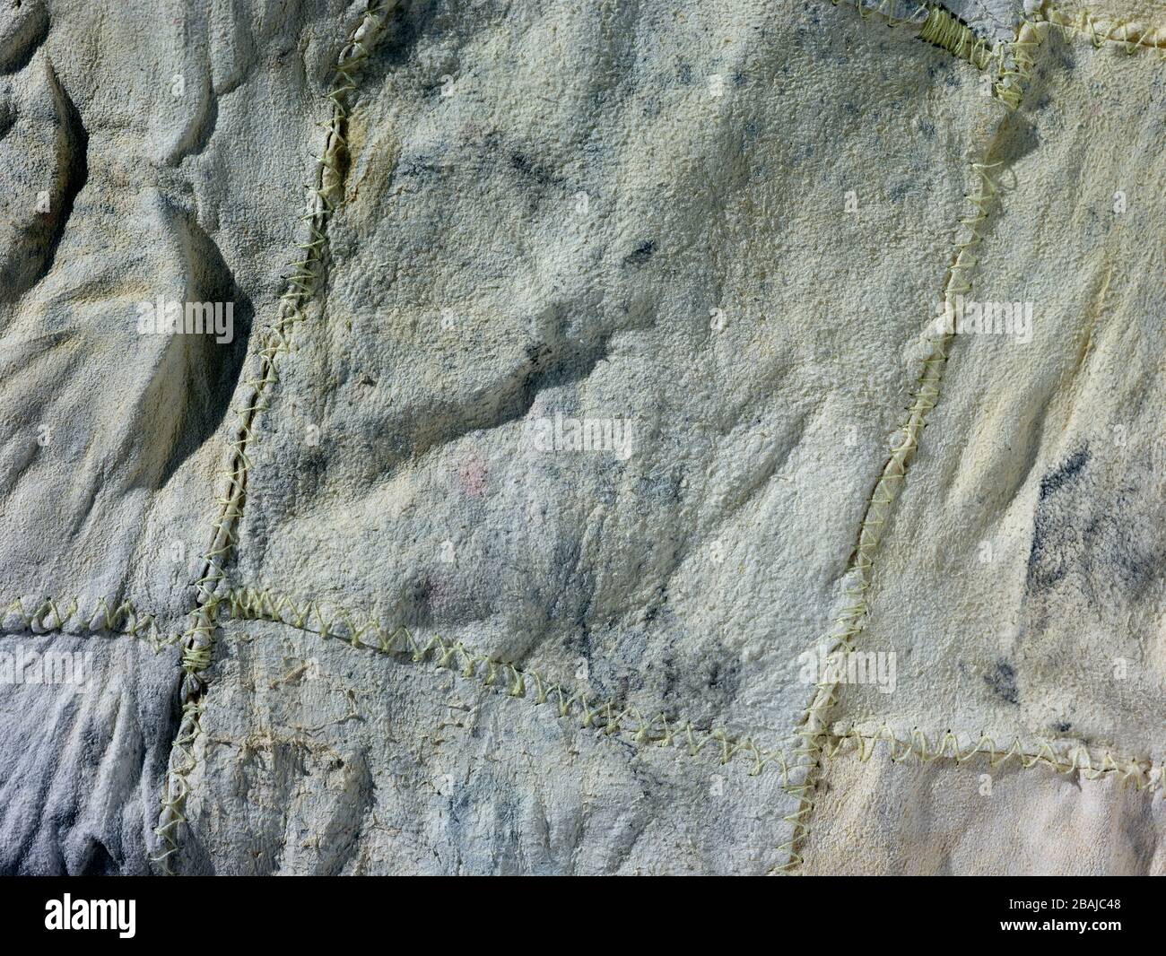 Shami goat hi-res stock photography and images - Alamy