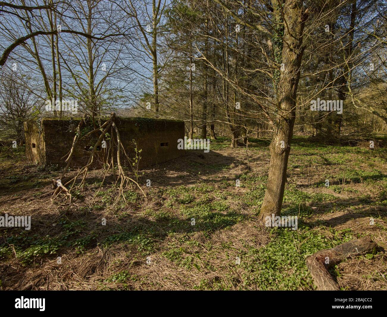 Concrete blockhouses hi-res stock photography and images - Alamy