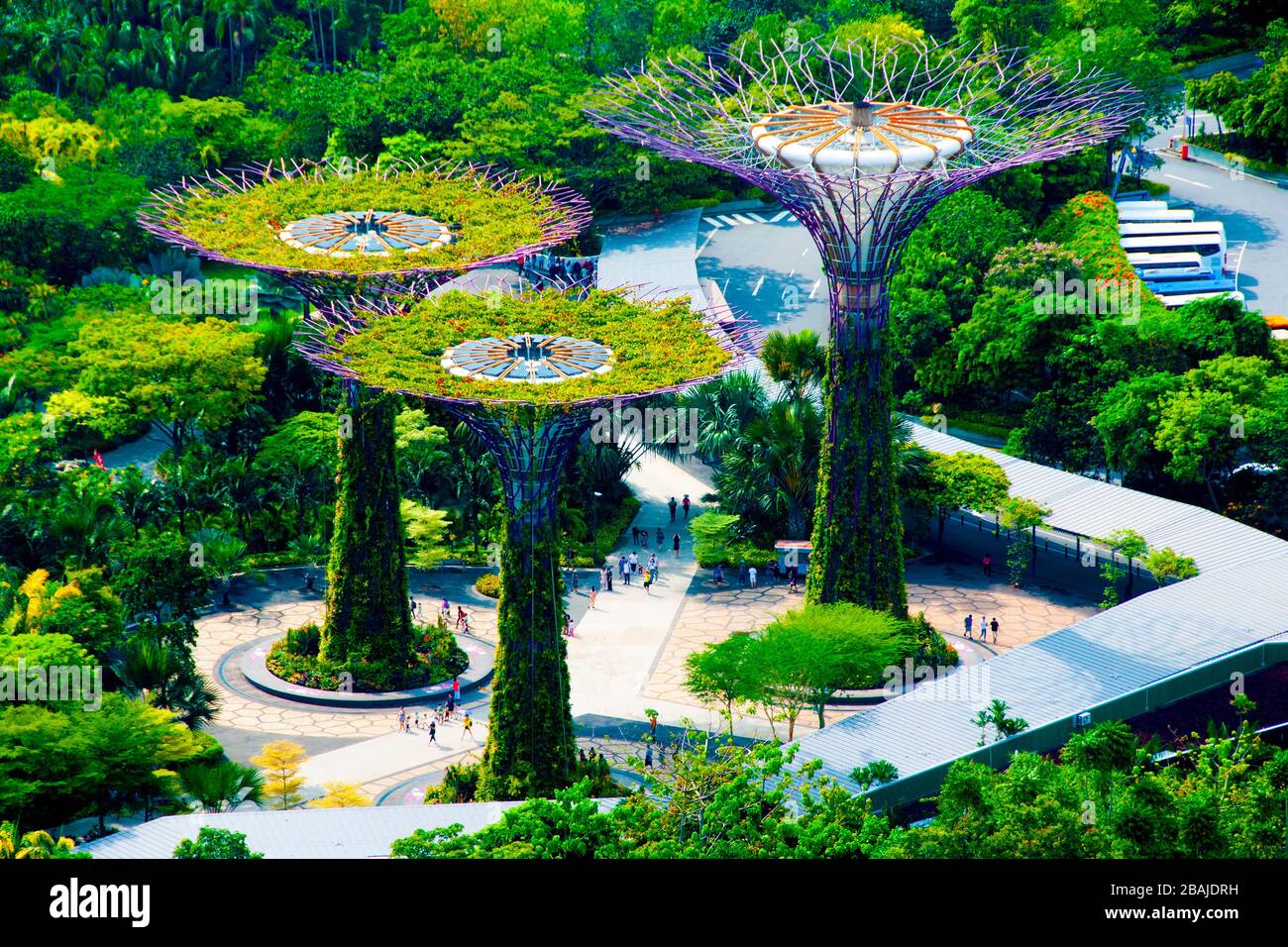 Supertree Grove Trees at the Gardens by the Bay - Singapore Stock Photo ...