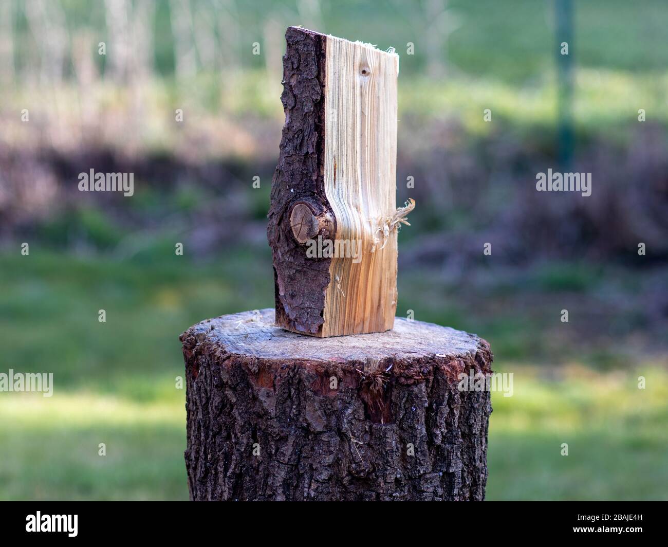 Top log hi-res stock photography and images - Alamy